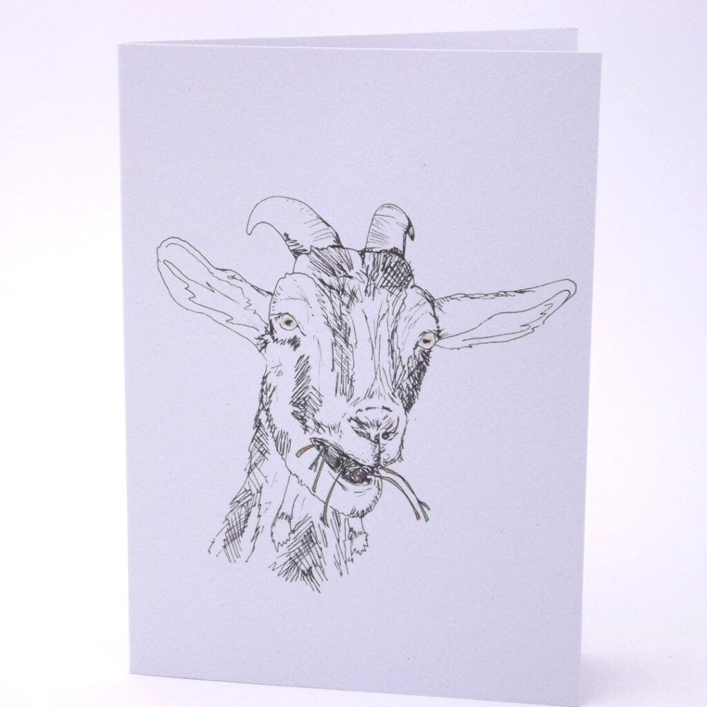 Goaty Greeting Card Set of 3 - Ganders Goat